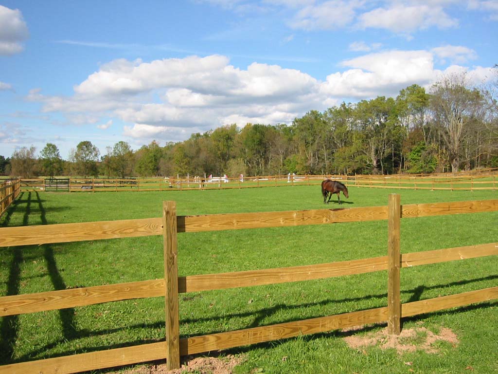 Farm Summer 2004 014 – Castle Creek Farms